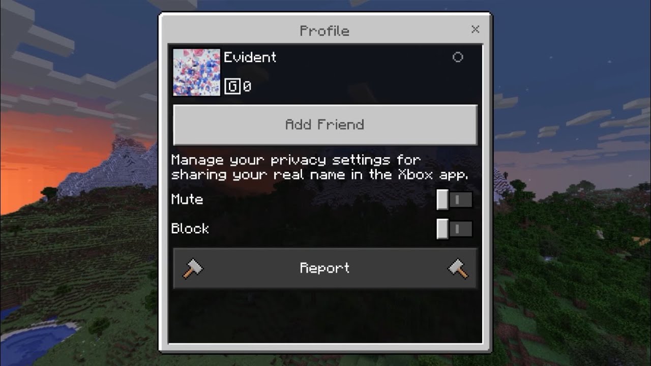 Why Evident’s IGN is EvidentP not just Evident - YouTube