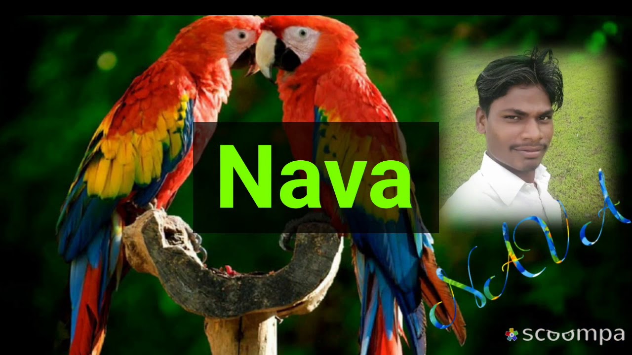 Navanath gaikwad - YouTube