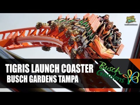 Tigris Launch Roller Coaster In Action At Busch Gardens Tampa - YouTube