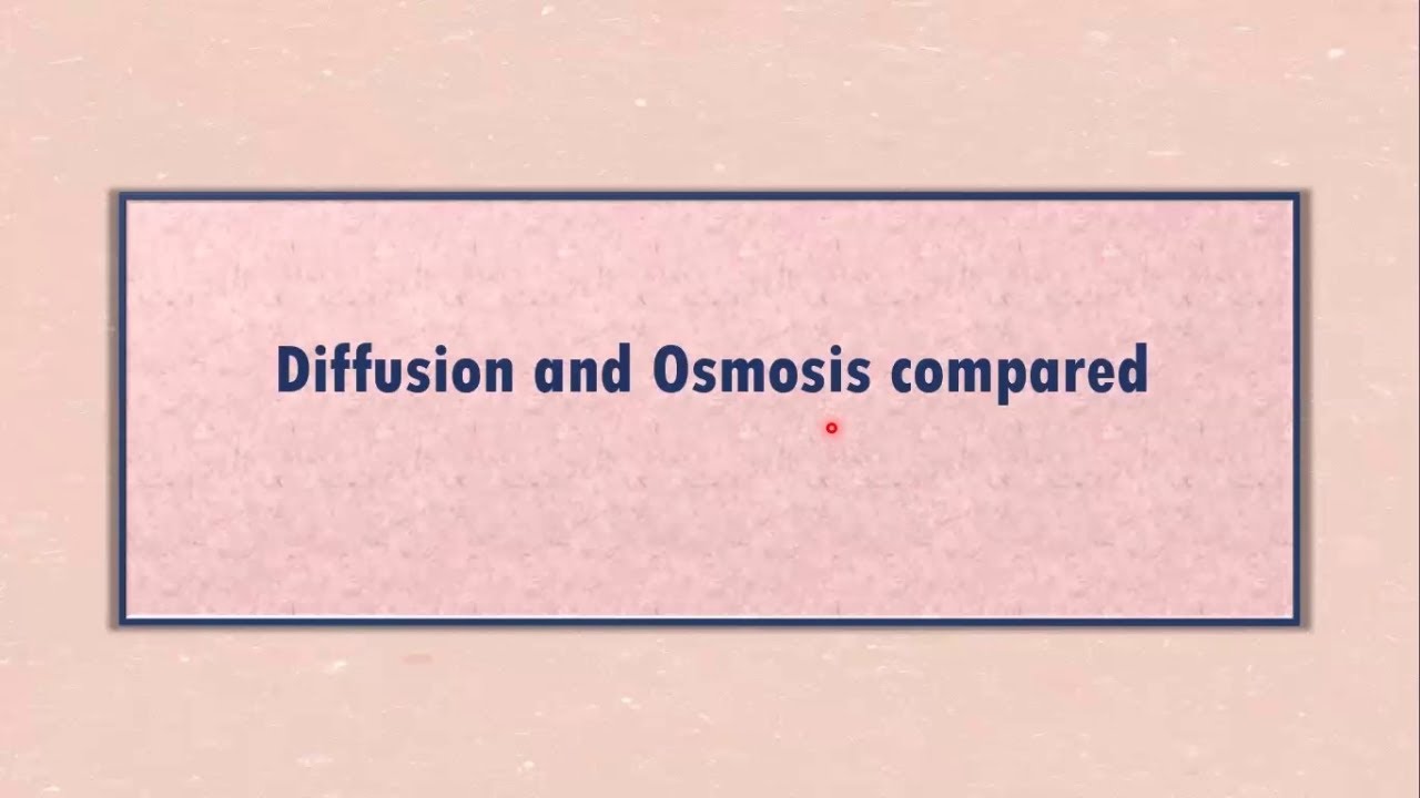 Diffusion and Osmosis Compared - YouTube