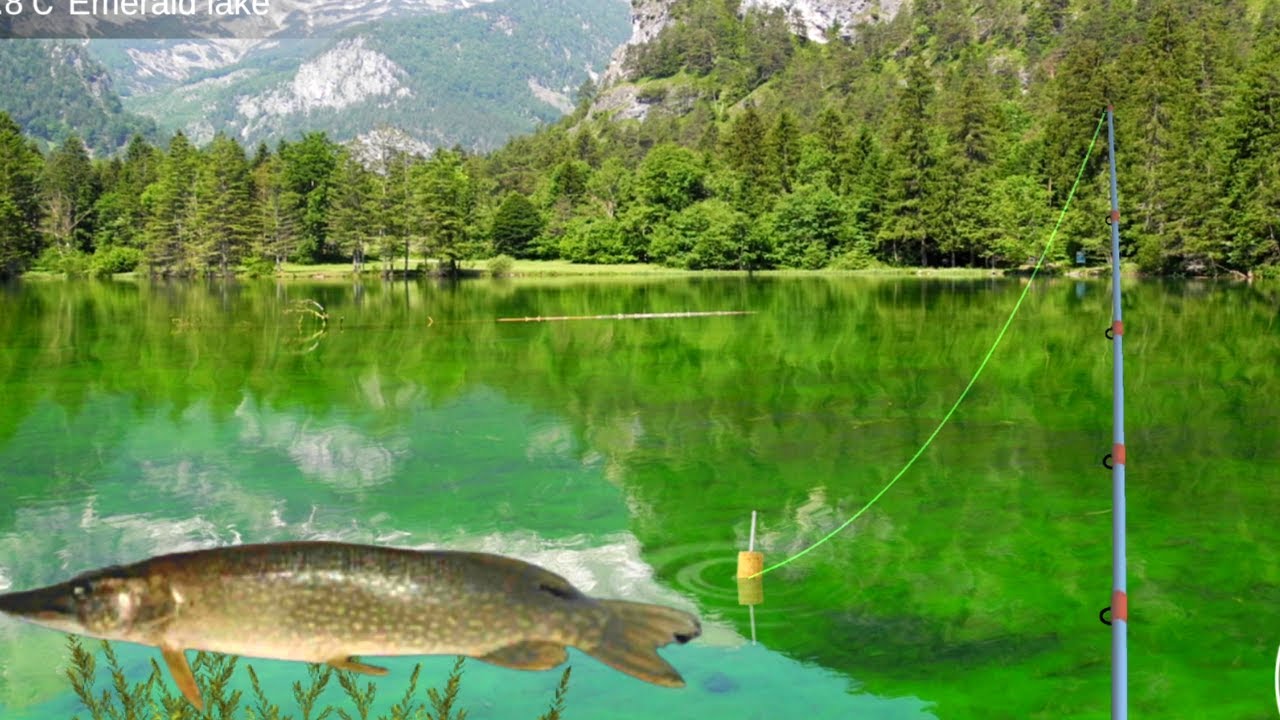 Most Efficient Pike Size Money Farm | My Fishing World - YouTube