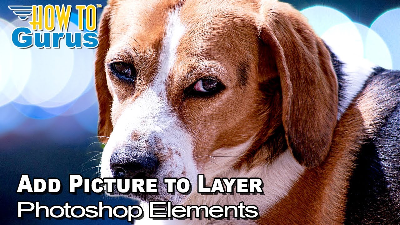 How You Can Use Photoshop Elements To Add A Photo Or Image To A Layer how-you-can-use-photoshop-elements-to-add-a-photo-or-image-to-a-layer