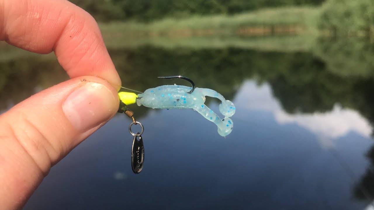 Fishing New Pond with Tiny Frog Lure! - YouTube