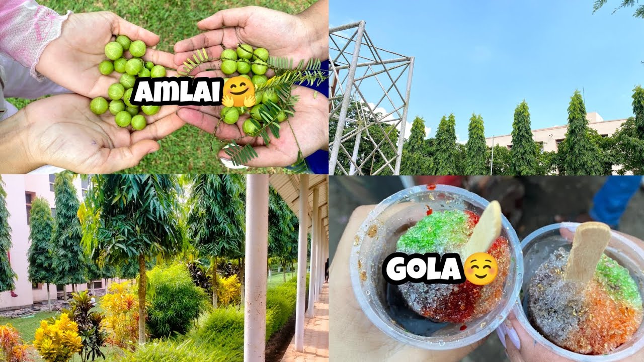 A day we'll spent in university 🤗 ️// Siyari Debbarma vlog - YouTube