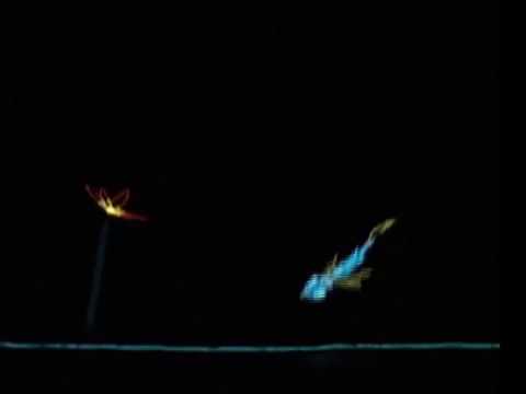 DINO LIGHT A Glow-in-the-Dark Adventure presented by Alaska Junior Theater