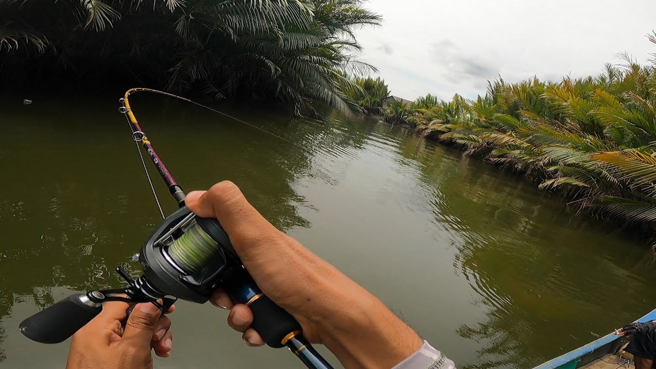 KUAT SEKALI TARIKAN IKAN BESAR INI !!! Casting Dan Trolling Di Muara ...