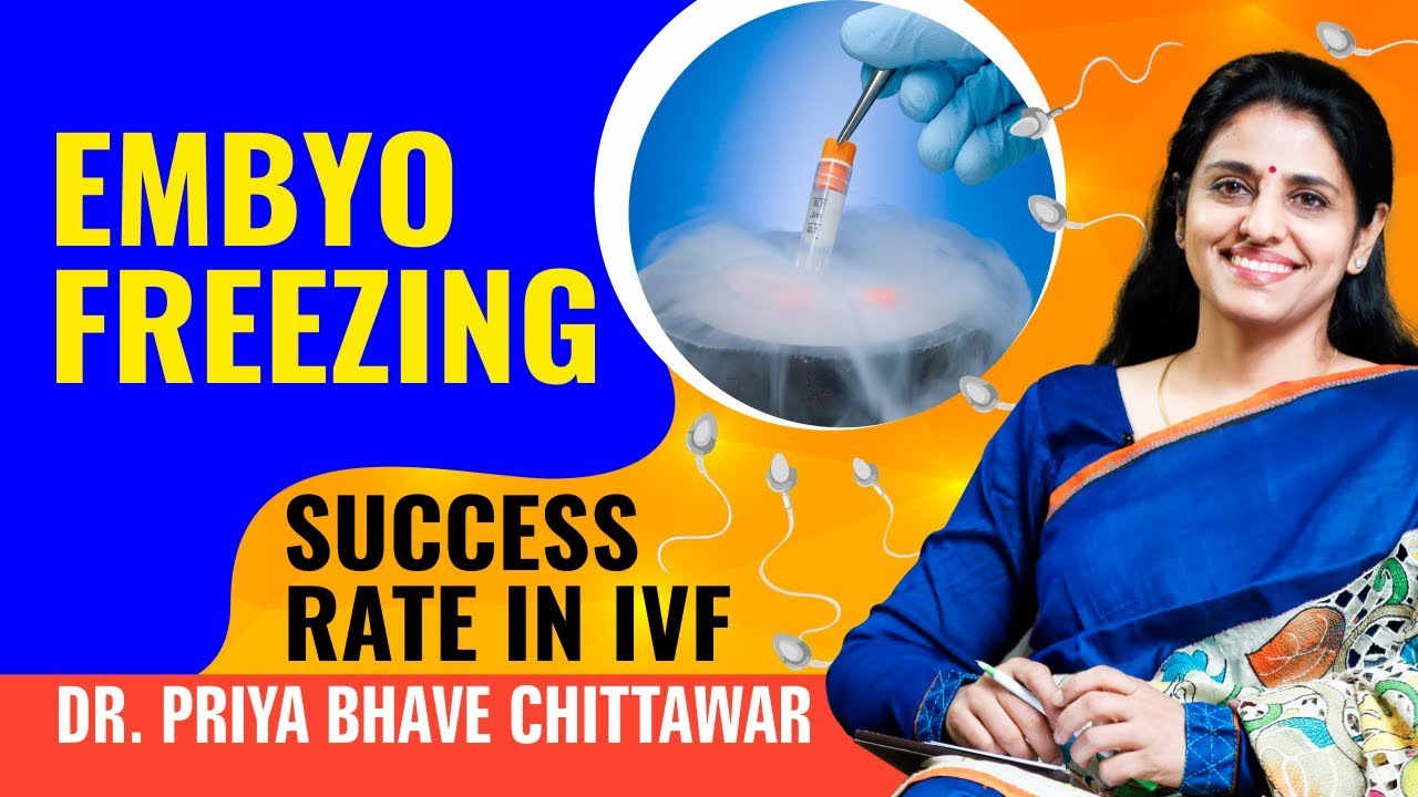 Embryo Freezing Process in IVF ! Frozen Freezing or Fresh Freezing ...