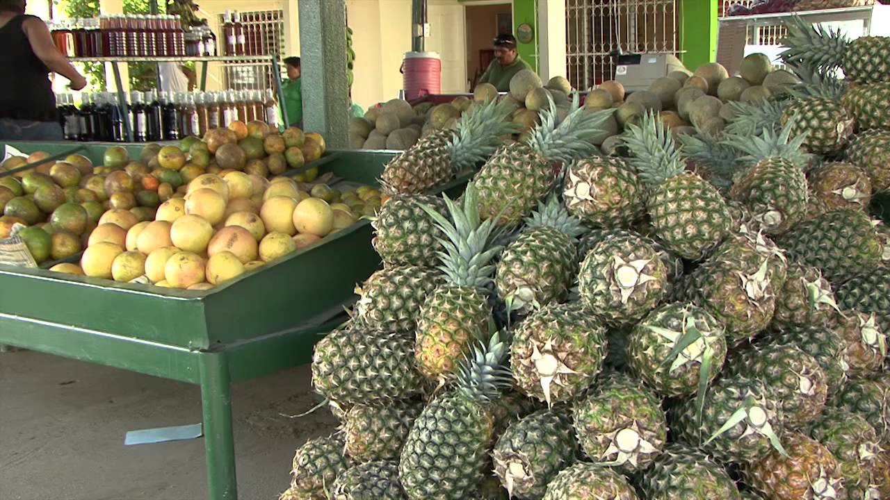 Video turistico del Municipio de Tonosí - YouTube