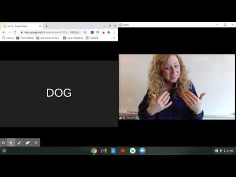 ASL Lessons - Roommate and Pet Vocabulary 3:9 SN - YouTube
