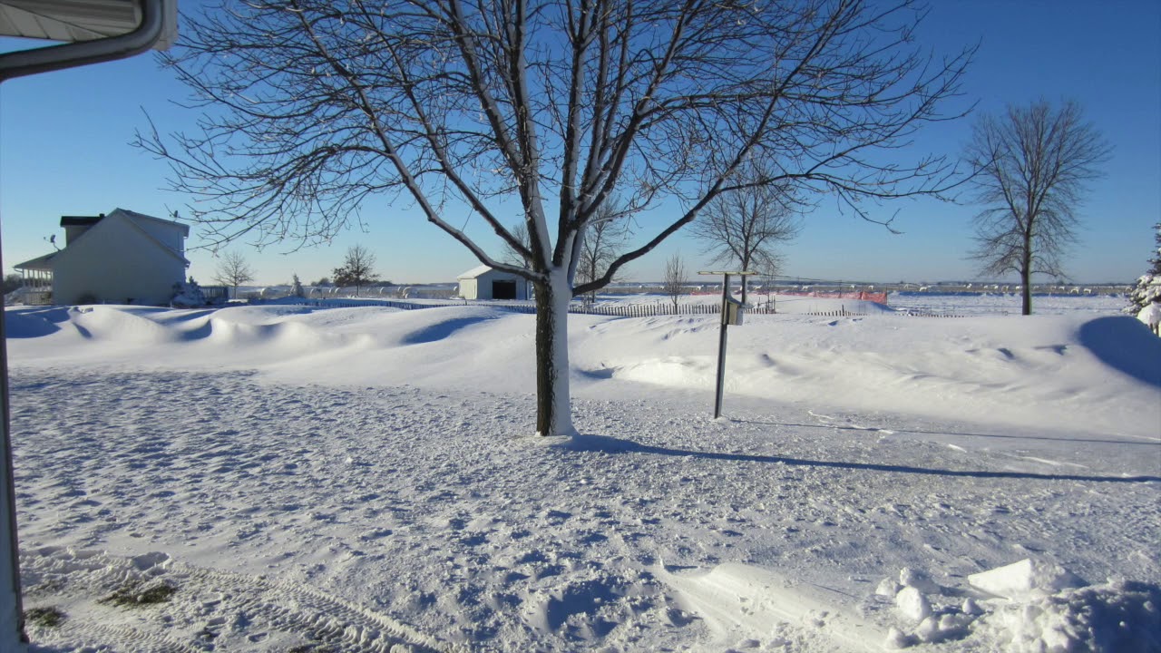 Iowa winter snow drifts with living and plastic snow fences - YouTube