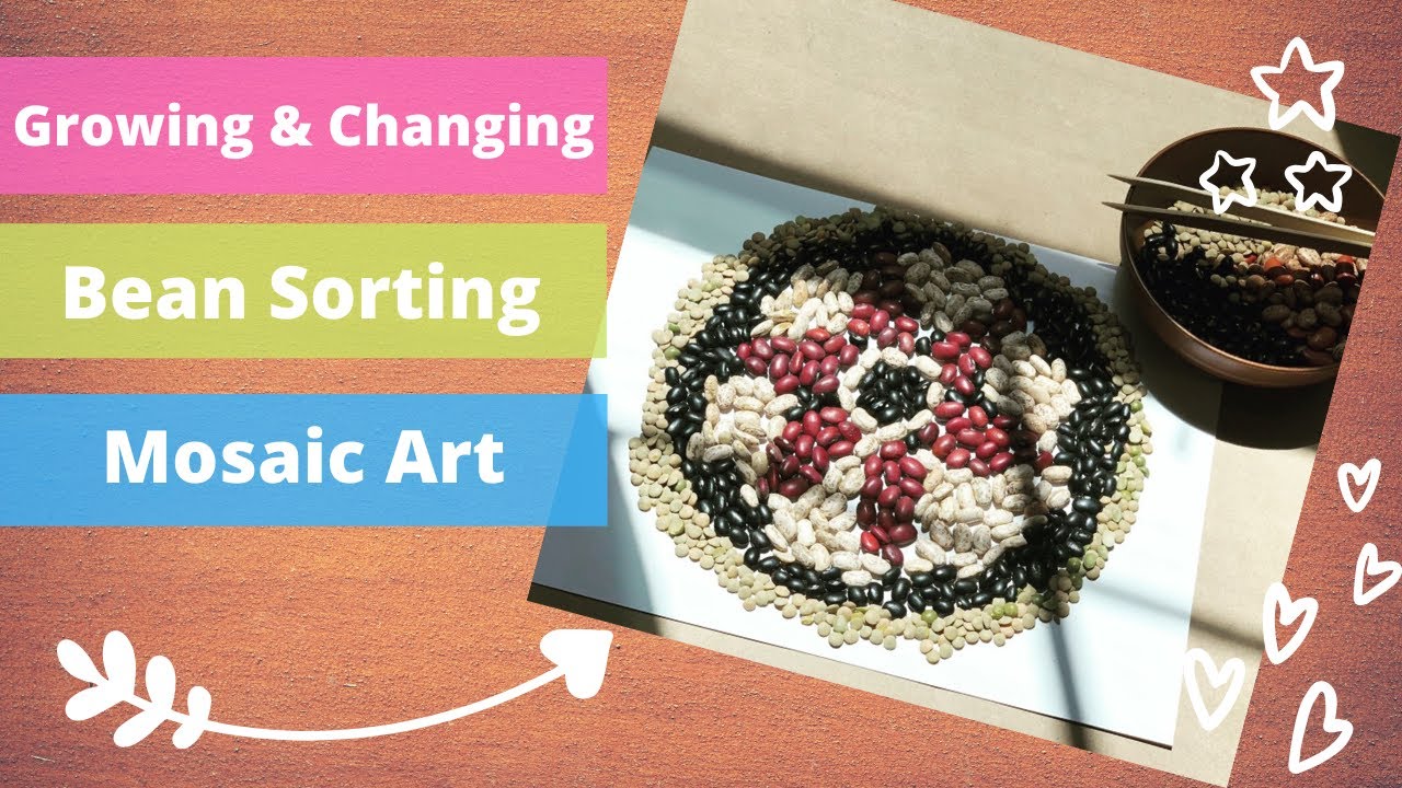 Bean Sorting & Bean Mosaic Art | STEAM Activity for Kids - YouTube