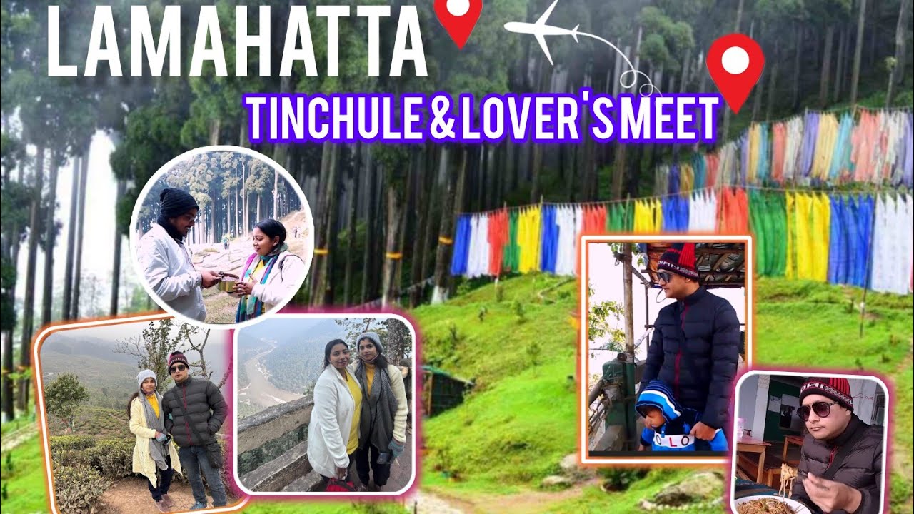 Lamahatta | Tinchuley | Lover's Meet Viewpoint | Peshok Tea Garden Tour ...