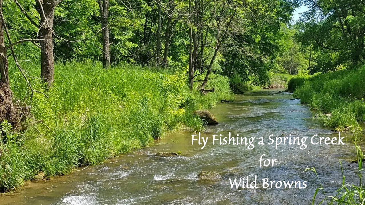Fly Fishing for Wild Brown Trout in a beautiful spring creek! - YouTube