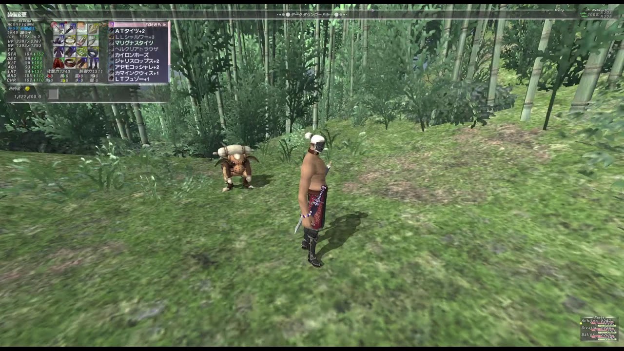 【Shinryu】1からわかせていくFF11【赤de挑戦】 - YouTube