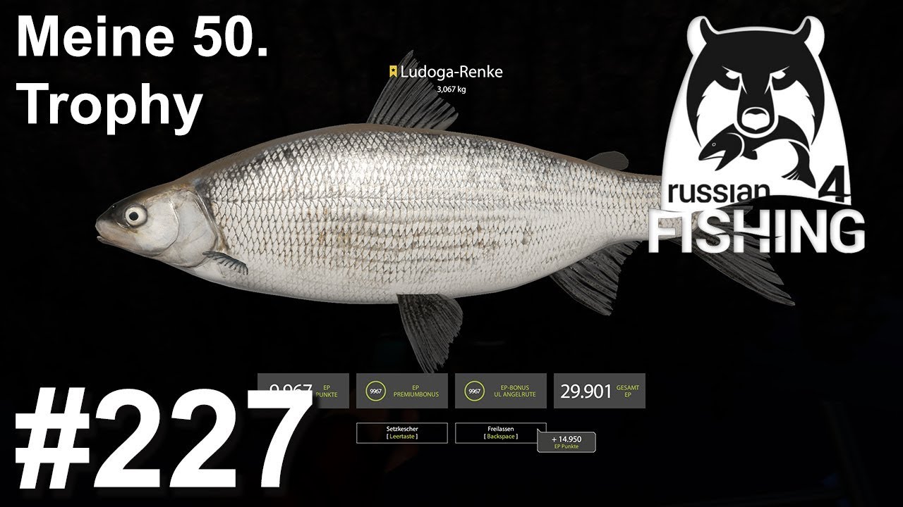 Trophy Ludoga Renke | Renken und Maränen 🎣🐋 | Russian Fishing 4 #227 ...