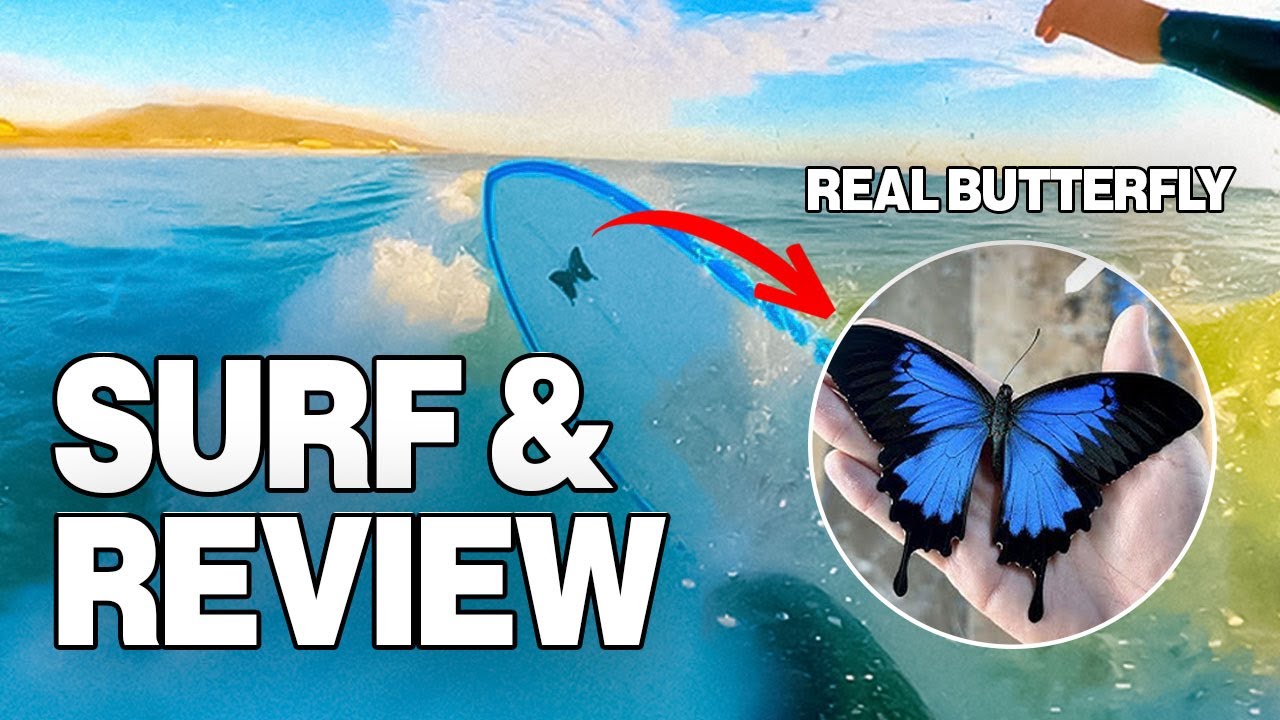 Real Butterfly into a Surfboard – Valentine’s Gift🩷 - YouTube