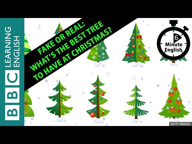 What's the Best ChristmasTree - Fake…: English ESL video lessons