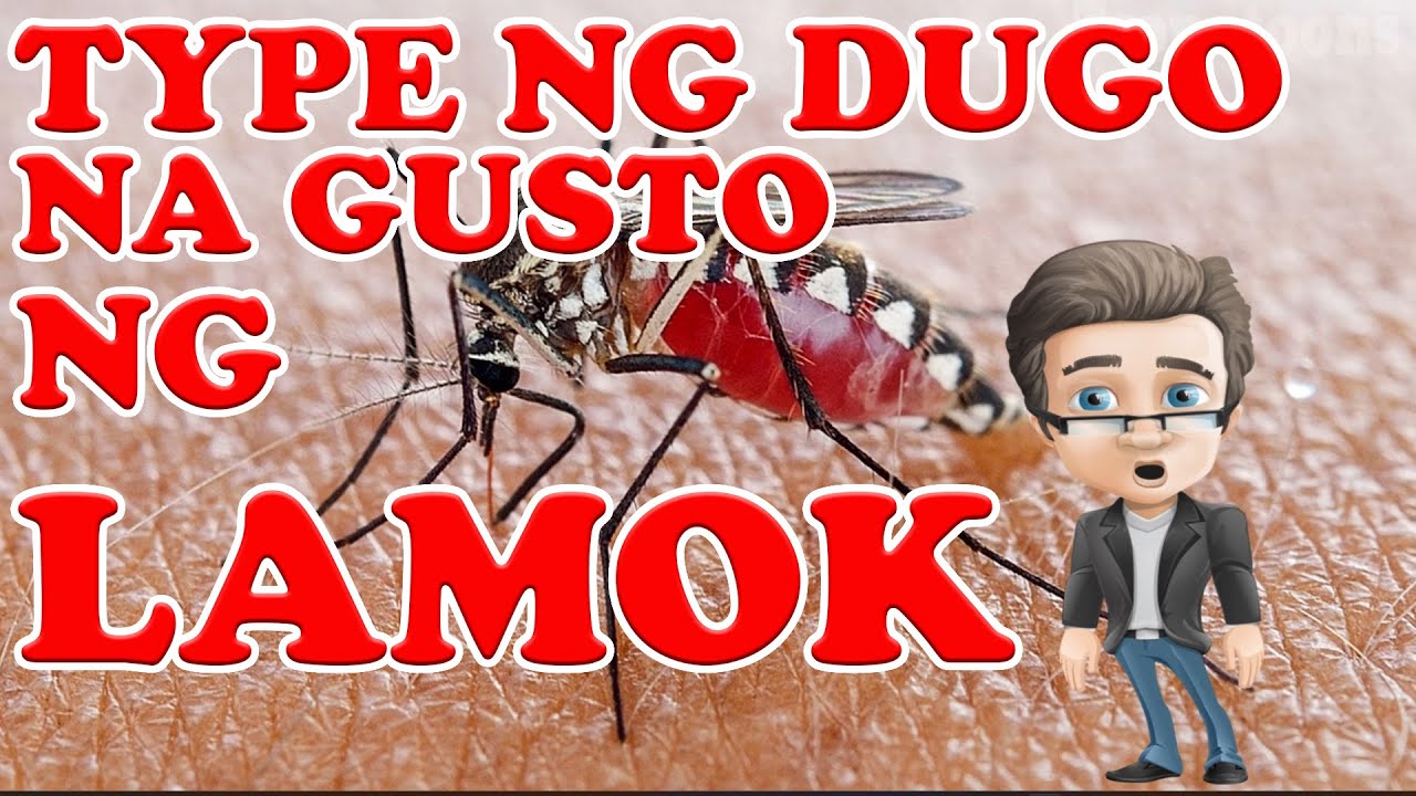 TYPE NG DUGO NA PABORITO NG LAMOK - YouTube