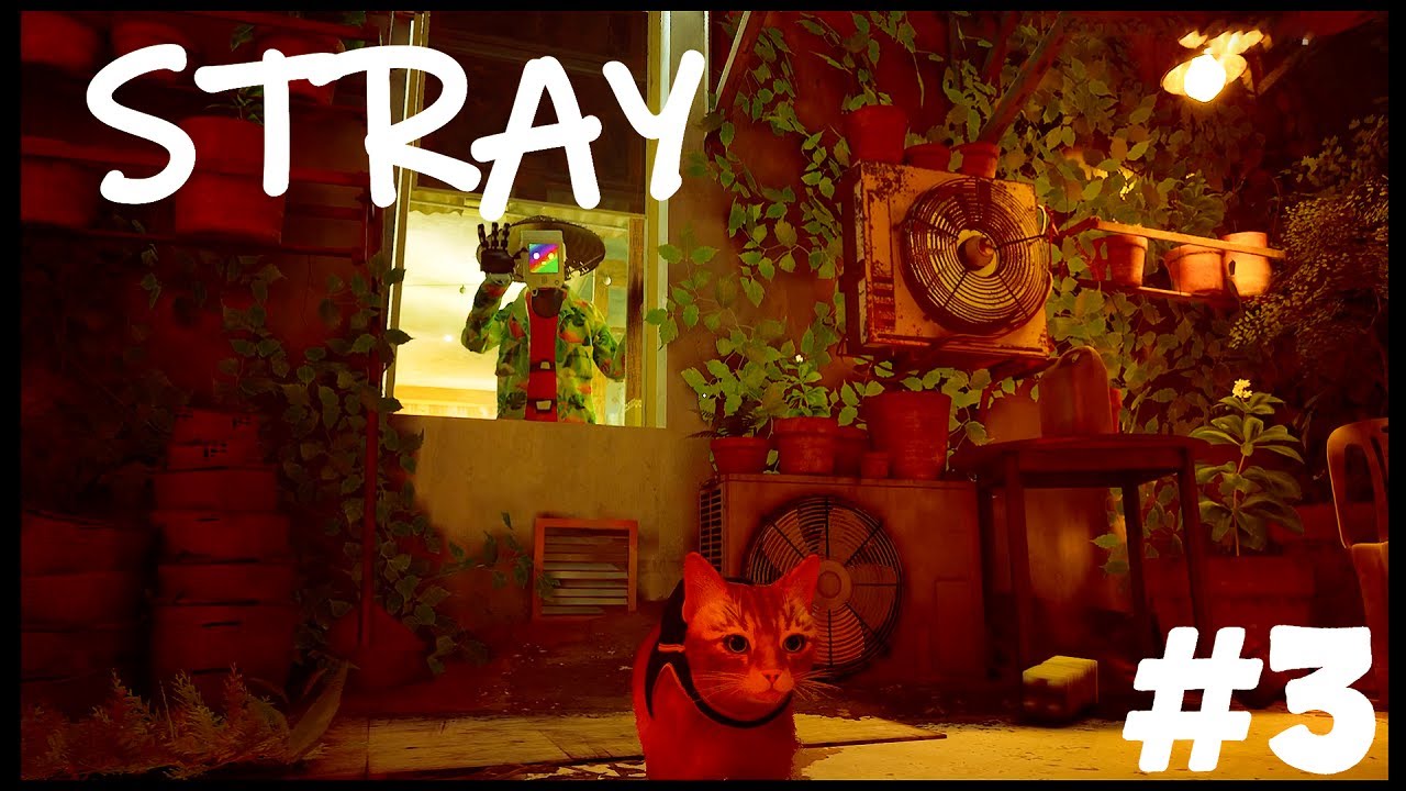 #3 【STRAY】ひとしおの寂しさも感じさせない機械的な友人 - YouTube