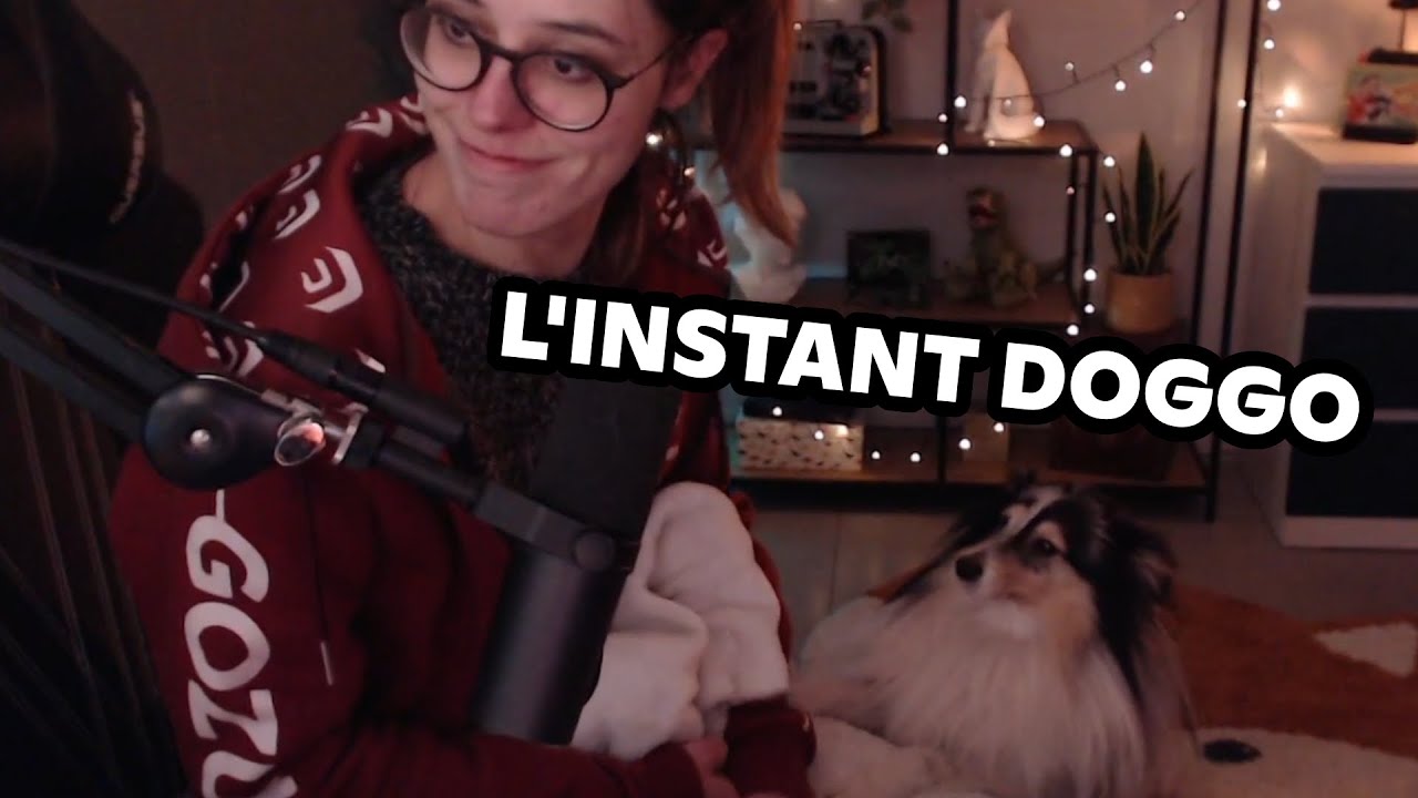 L'instant doggo sur le stream d'Angle Droit - YouTube