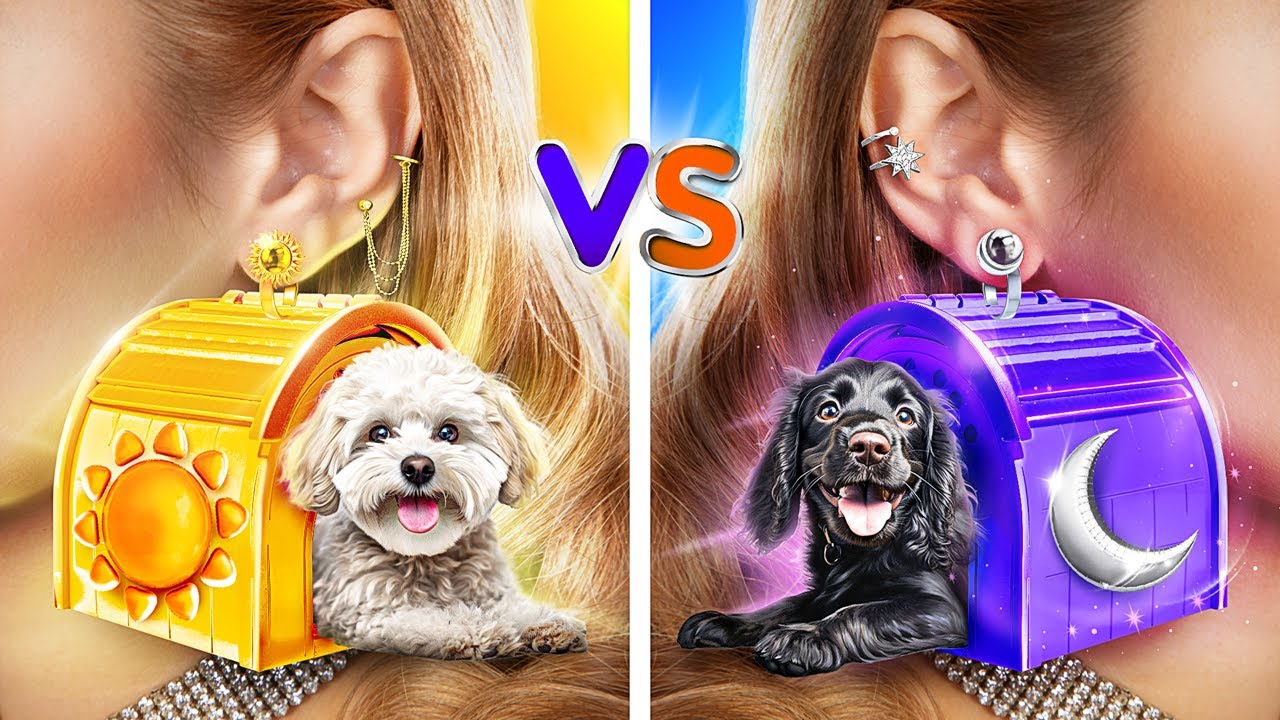 ONE COLOR HOUSE CHALLENGE! Day vs Night Pets - YouTube