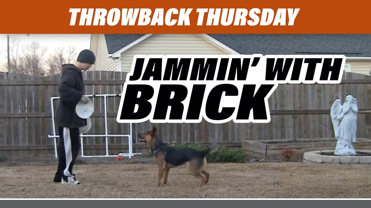 Throwback Thursday - Jammin' with Brick (2010) - YouTube
