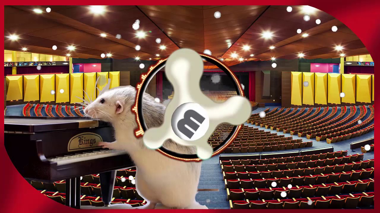 O Rato Pianista - The Pianist Mouse [Musicas com licença] - YouTube