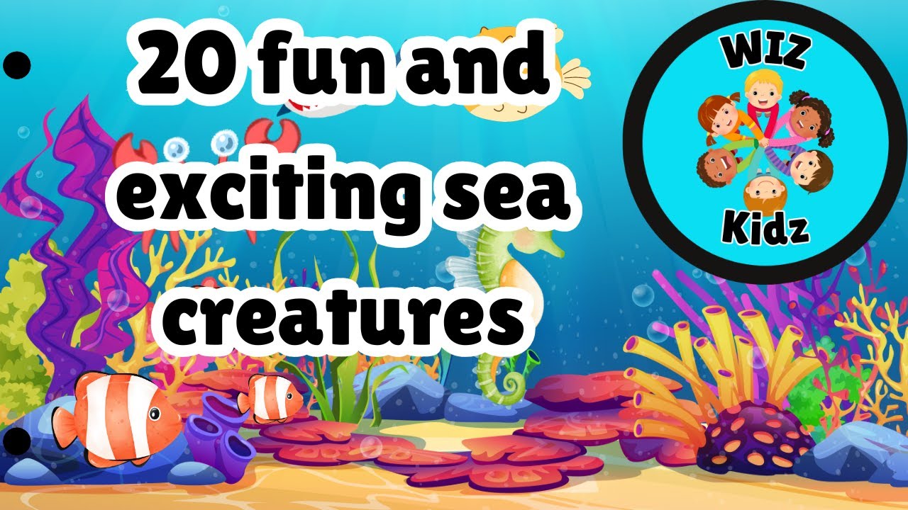 20 Fun and Exciting Sea Creatures. - YouTube