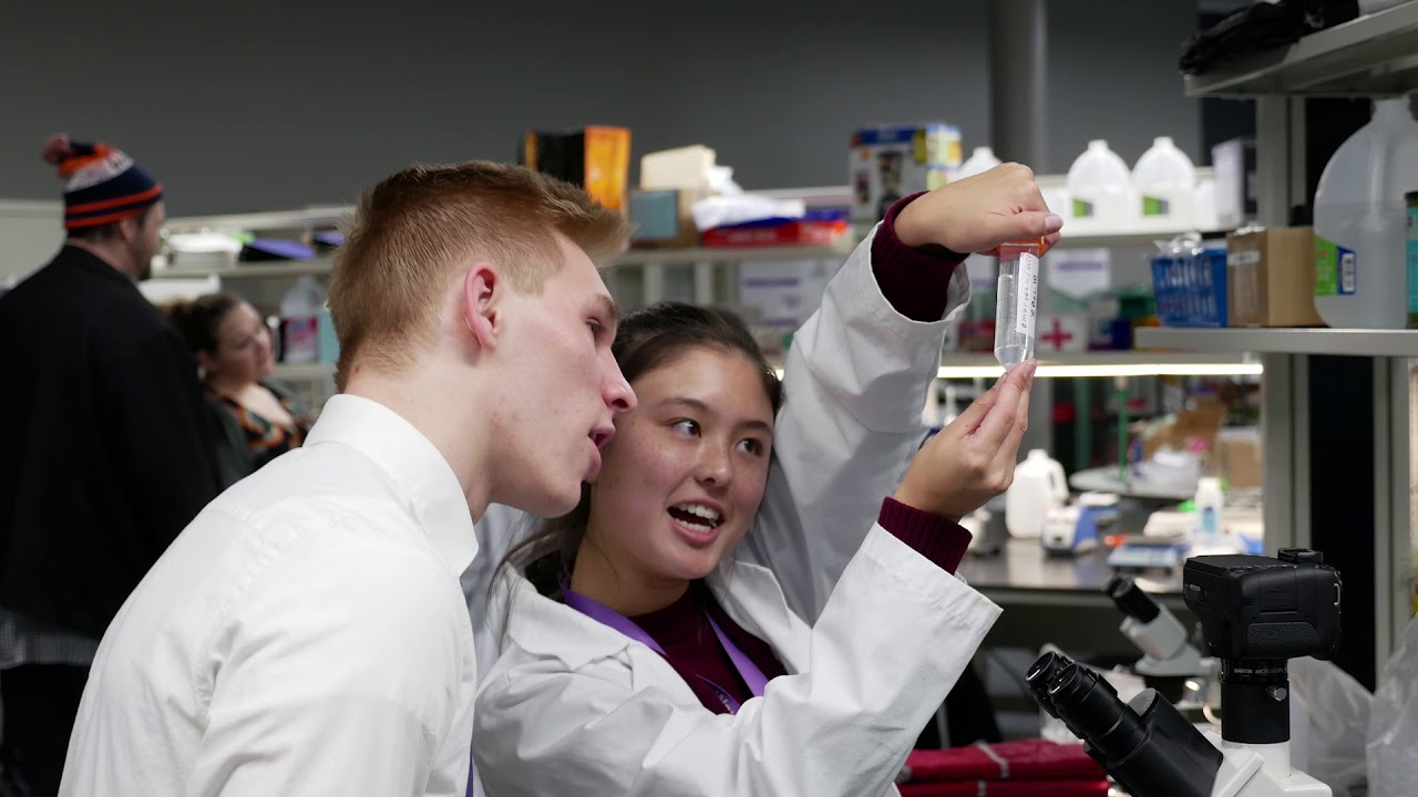 WILC Showcase Video - YouTube