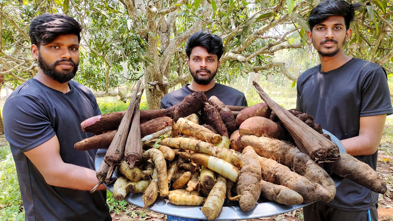 TUBER COOKING | All Type Of Tuber Mixed And Cooking | Healthy Food ...