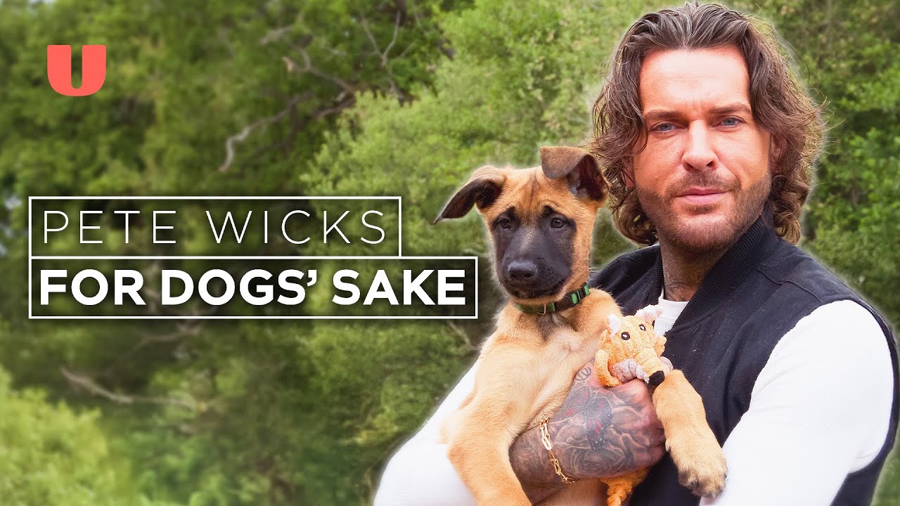 Pete's Emotional Return To The Dogs Trust | Pete Wicks: For Dogs Sake ...