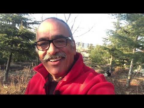 VAR GEL -  NEDİM YILDIZ -  MEDYADA YER ALMAYAN ESERLER 24. BÖLÜM