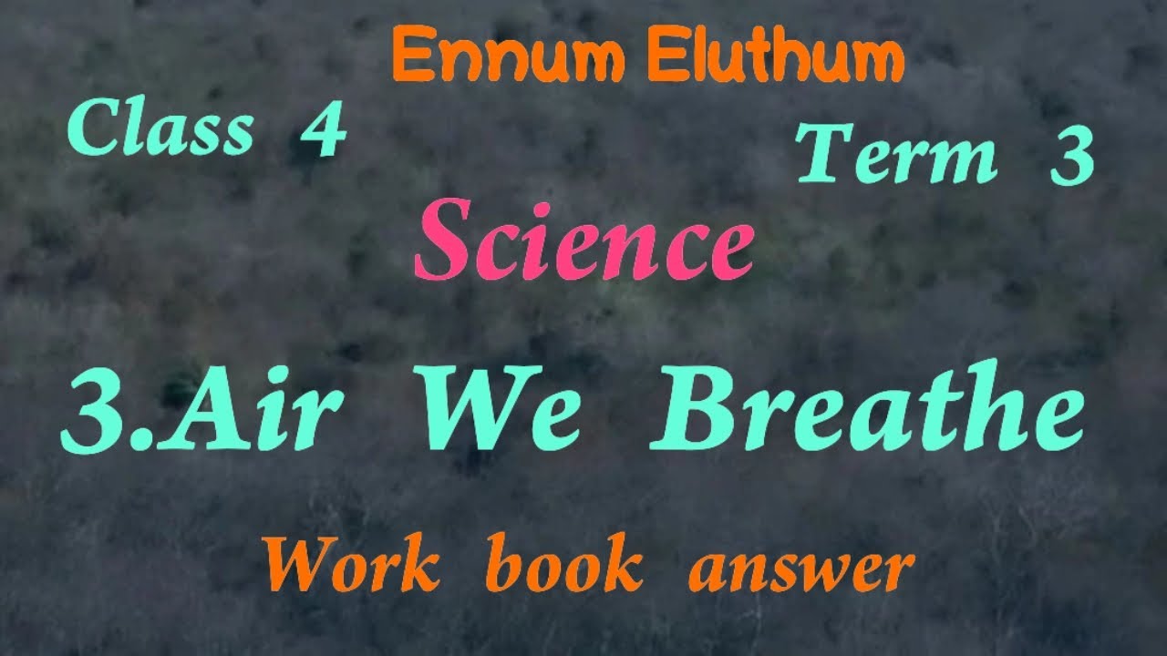EE|Term 3|Class 4|Science| Chapter 3|Air We Breathe |Workbook answers ...