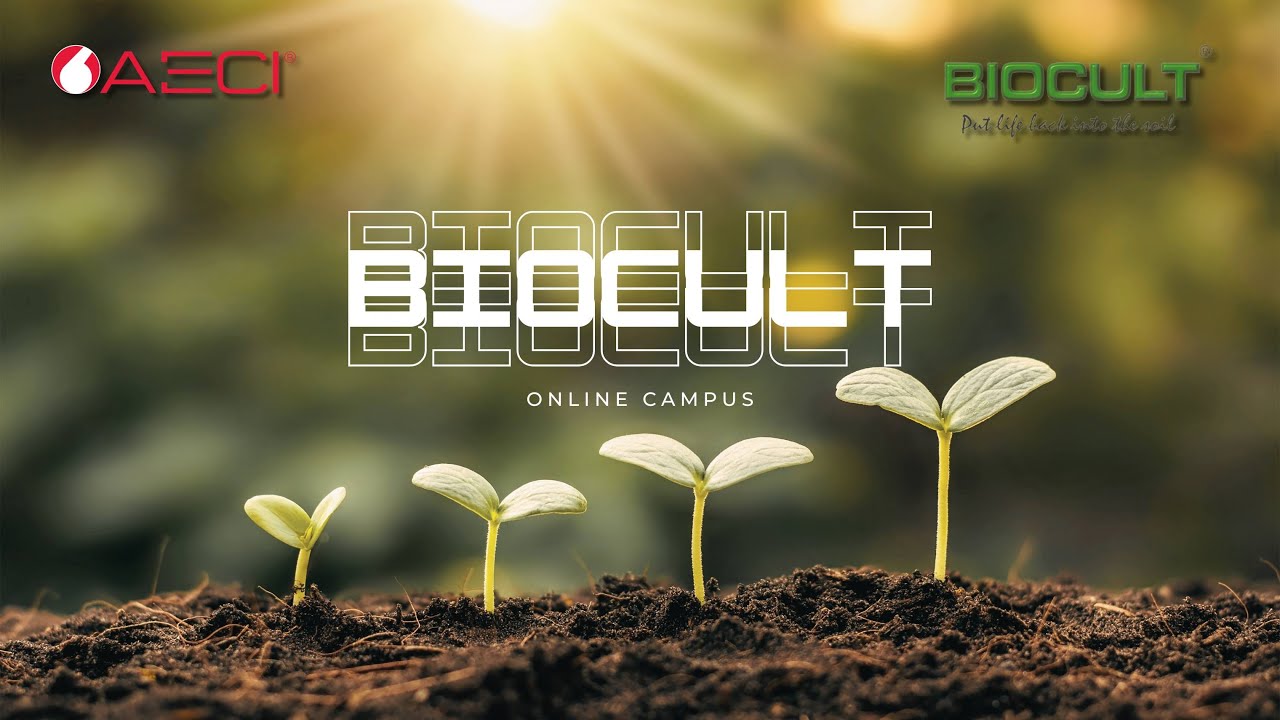Putting Life Back into the Soil: Biocult & Mycorrhizae | Expert ...