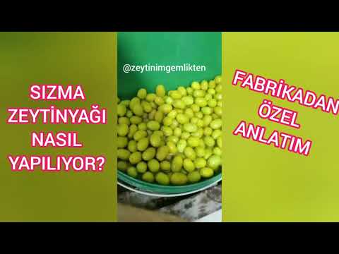 Hakiki sızma zeytinyağı nasıl yapılır?