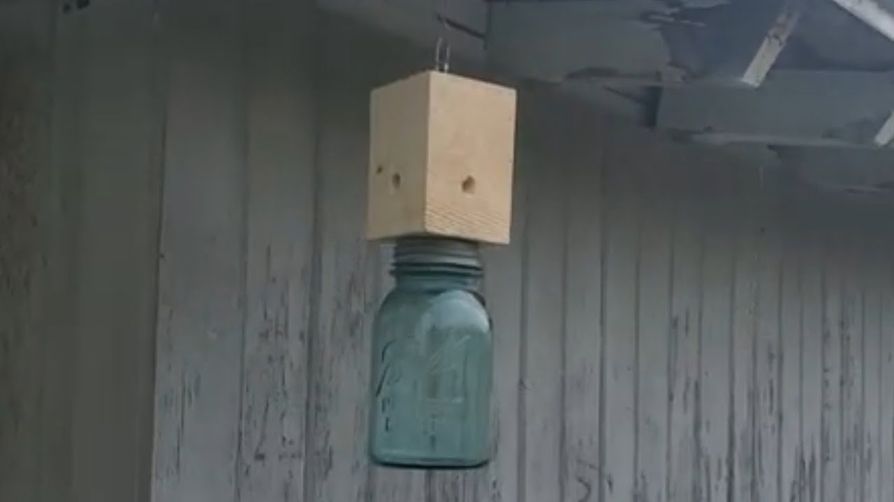 DIY Easy Carpenter Bee Trap - YouTube