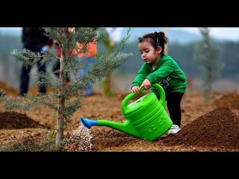 Ağaç Bayramı Şarkısı 🌲🌳🌴🍃🍁🍀Türküsü Ağaç Orman Şarkısı Çocuk Şarkıları 🌲🌳🌴🍃🍁🍀 Nursery Songs Tekerleme