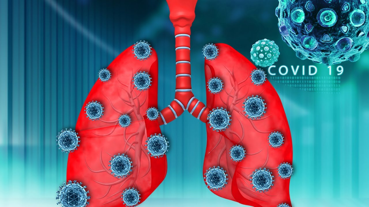How does the COVID-19 virus spread, infect and kill? - YouTube