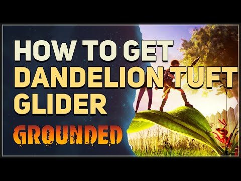 How to get Dandelion Tuft Glider Grounded - YouTube