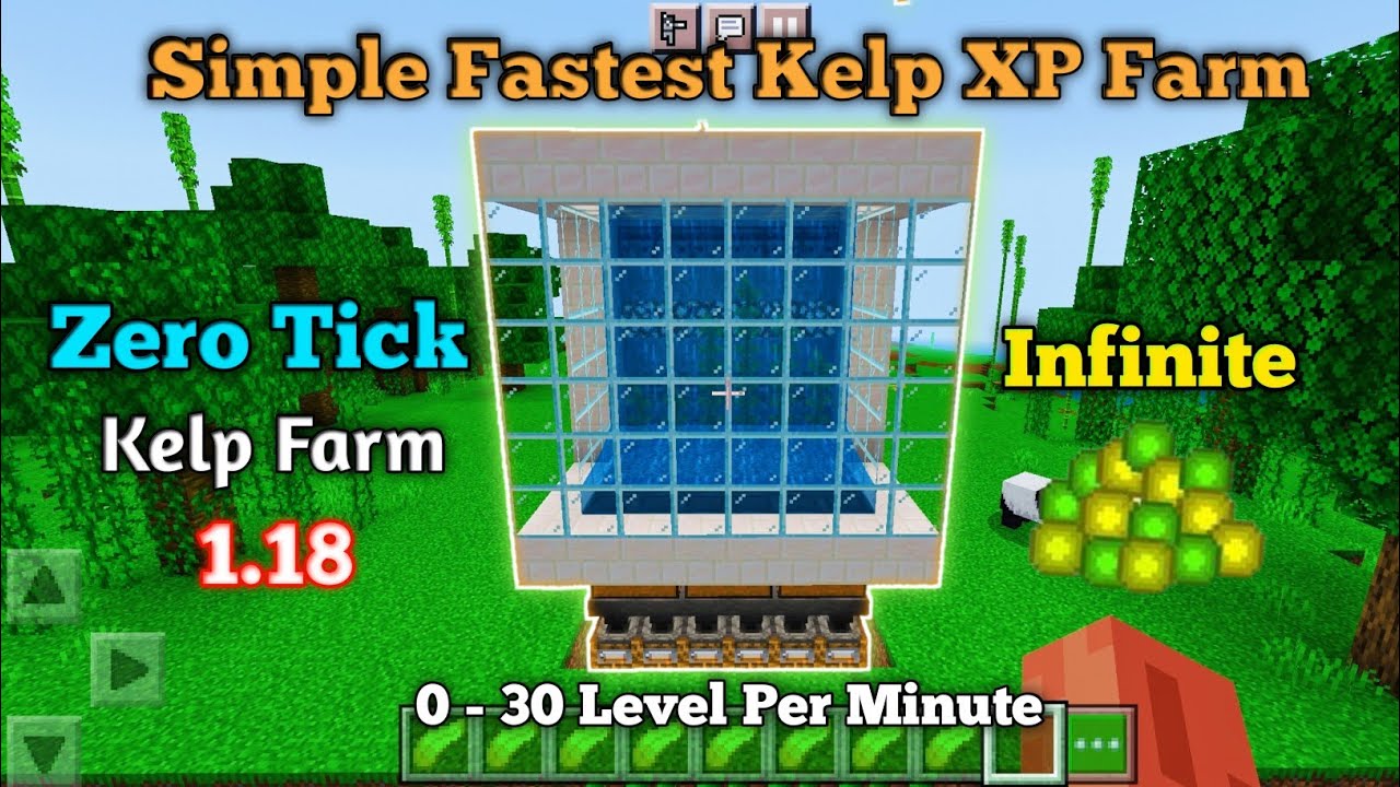 Easy 1.19 Kelp & XP Farm In Minecraft Bedrock ( Java/Xbox/MCPE/PS4 ...