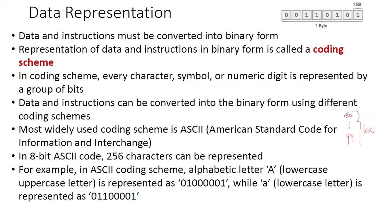 Lecture 7: Data representation and structure of main memory - YouTube