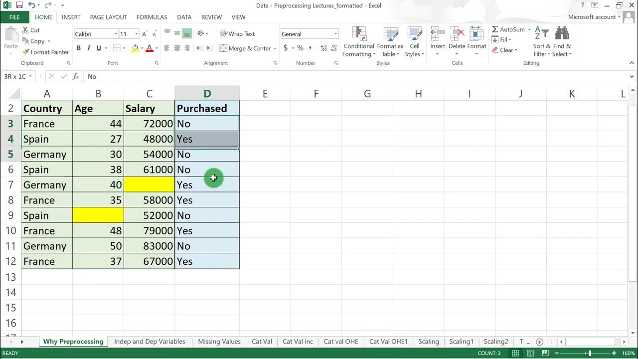 01 Data Preprocessing: Why Preprocessing - YouTube