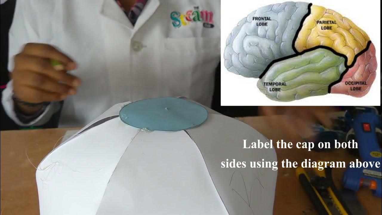 How TO MAKE A BRAIN CAP ARTS. STEAM CLUB - YouTube