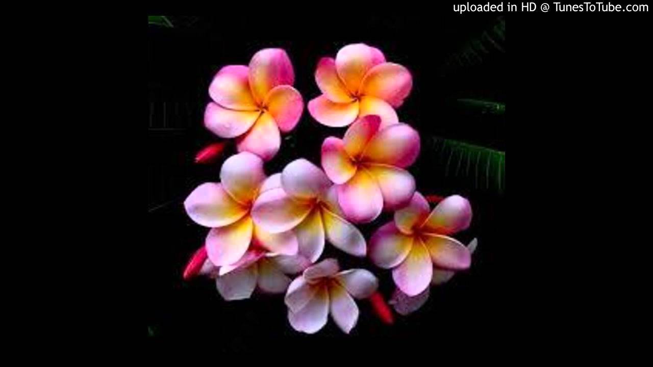 IONGI BROTHERS - YouTube