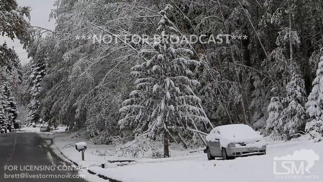 11-03-2017 Bellingham, Washington - Early Season Snow - YouTube