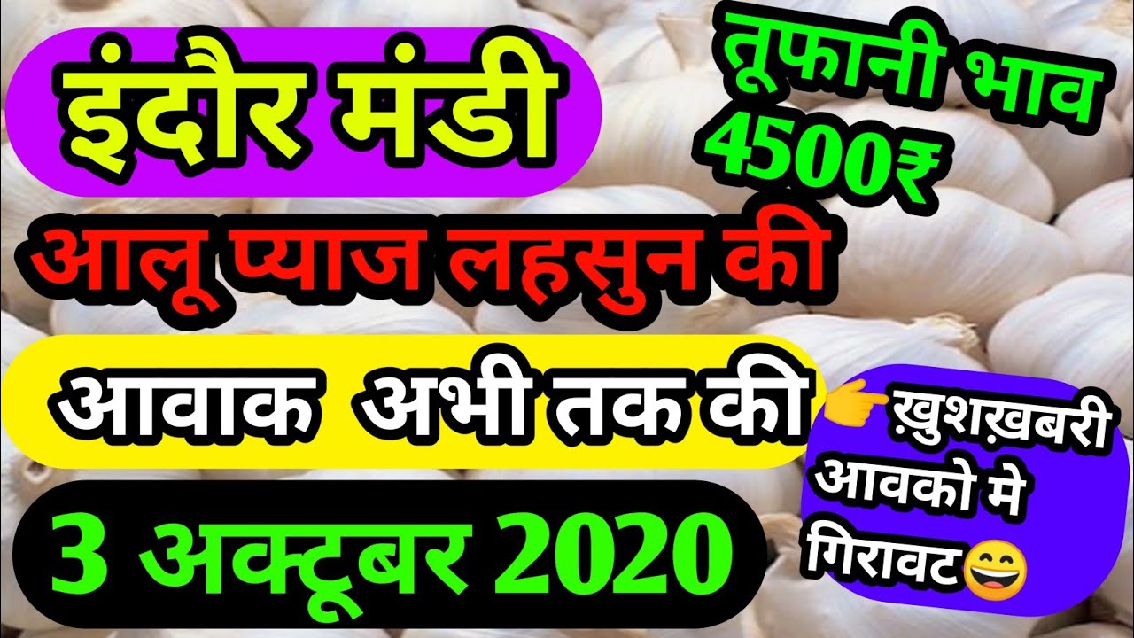 Indore Mandi Onion Arrival 3 oct 2020 | Indore Mandi Arrival | Indore ...