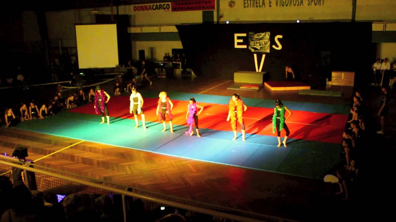 130629_Estrela e Vigorosa Sport - Sarau 2013 - YouTube