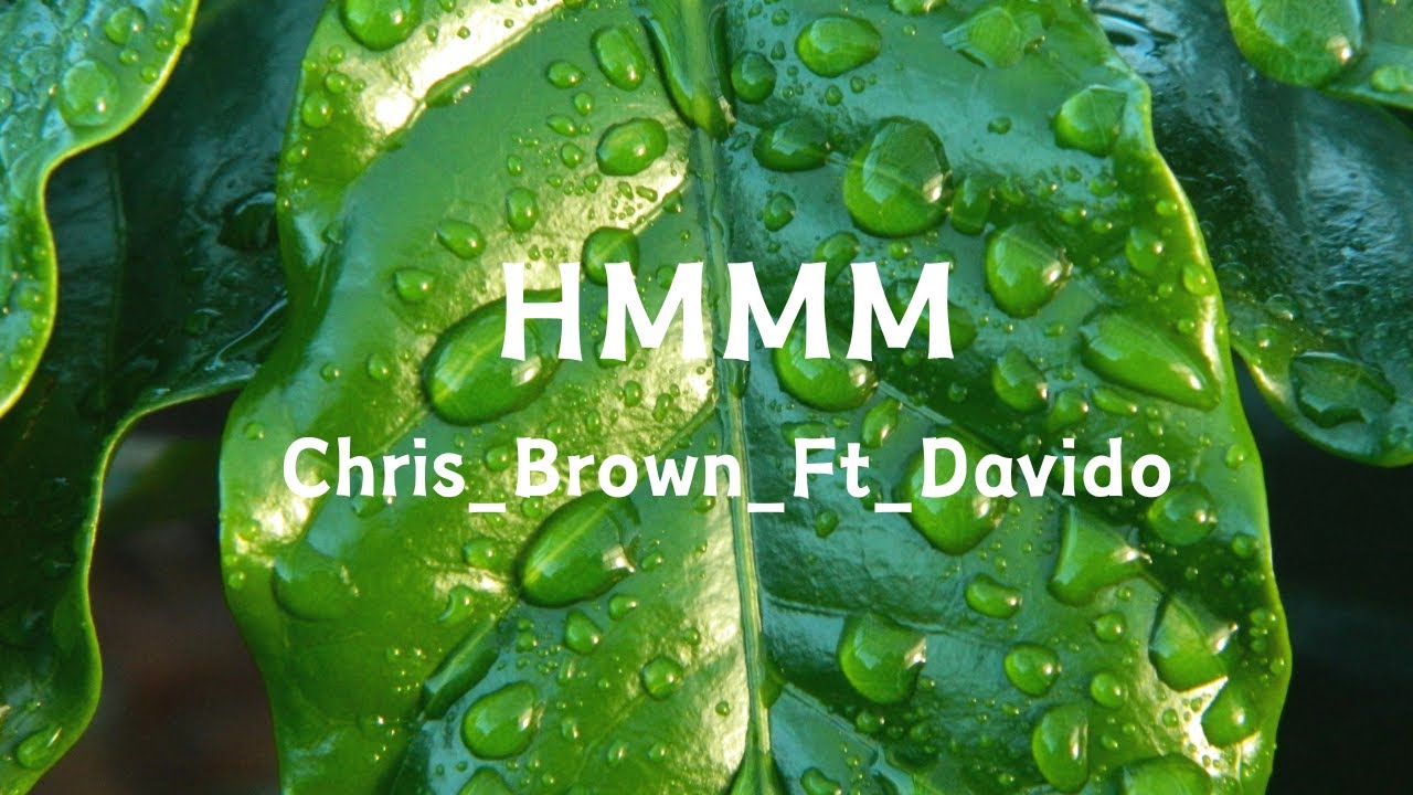 Chris_Brown - Hmmm FT. Davido (Lyrics) - YouTube