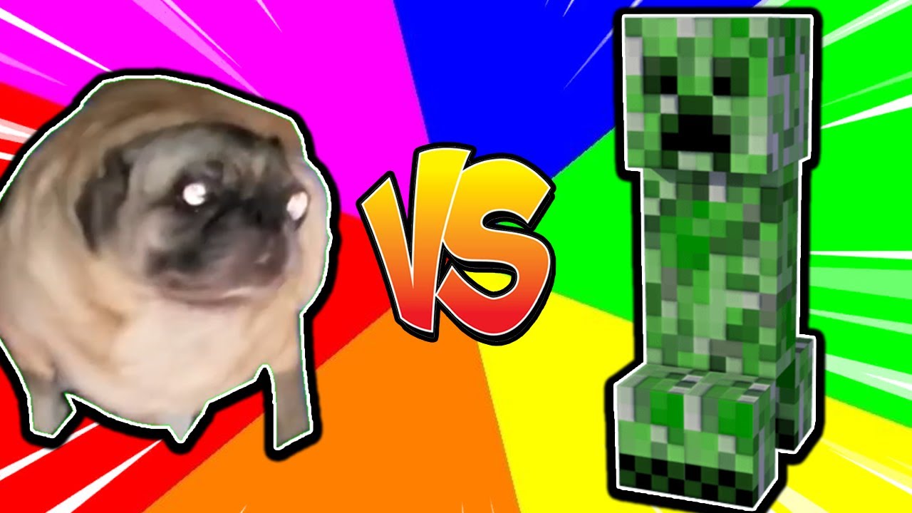 Pug vibing vs Creeper - YouTube