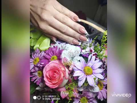 Dirnağ qaynaği 15azn